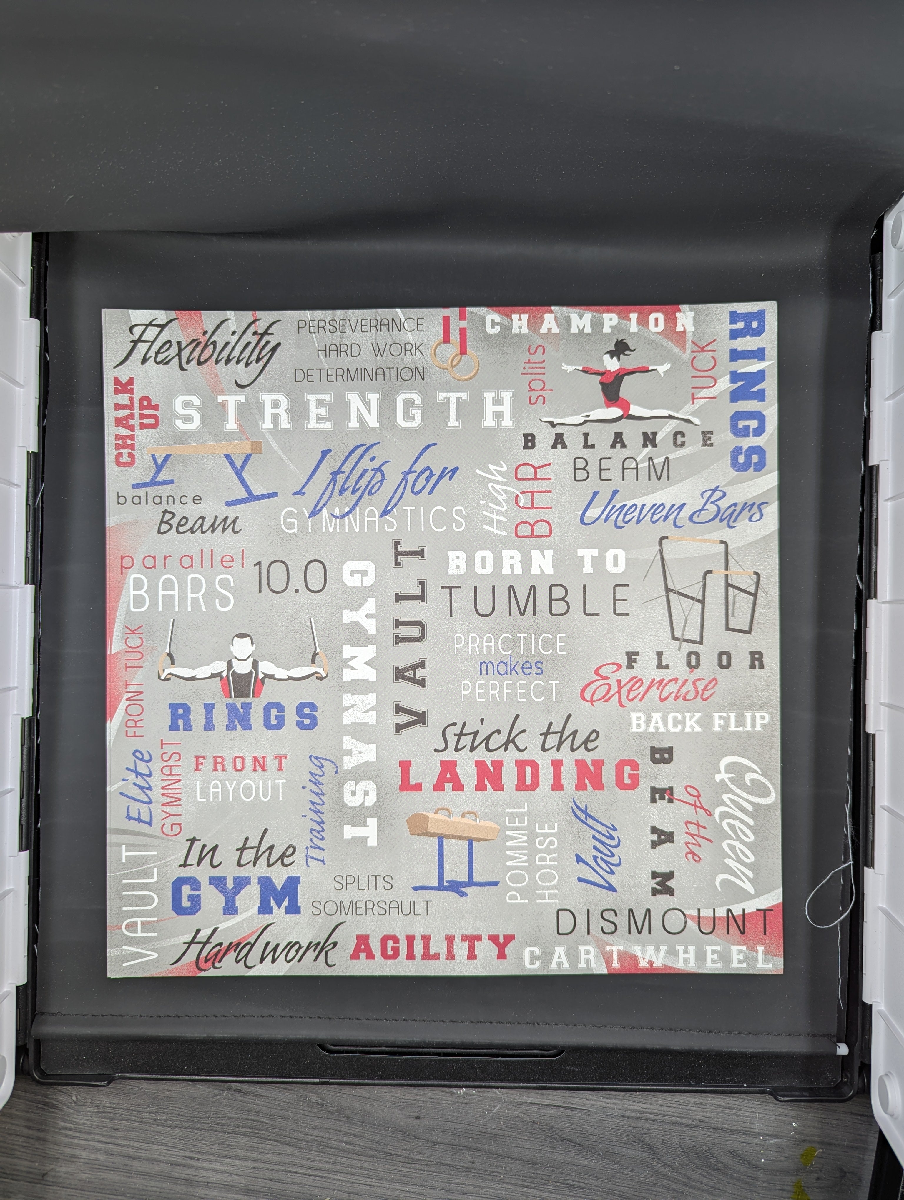 Gymnast – Scrapendipity Online